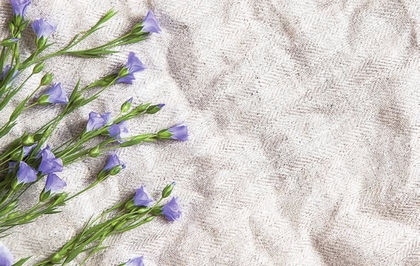 La storia infinita del lino | Sant'Antonio di Padova